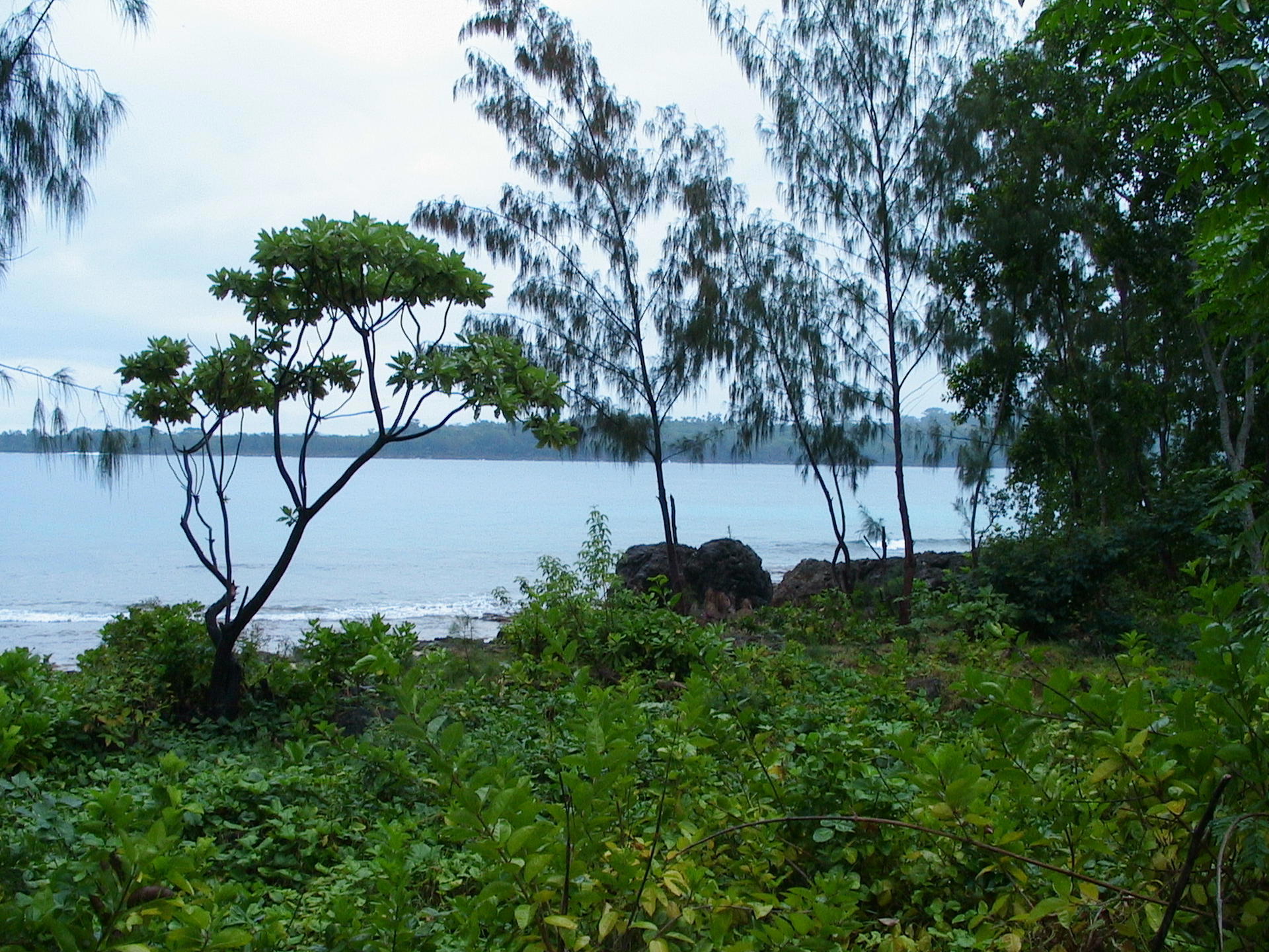 Lot 5 Narpow Point, (4512) Port Vila Vanuatu - FN Port Vila Vanuatu