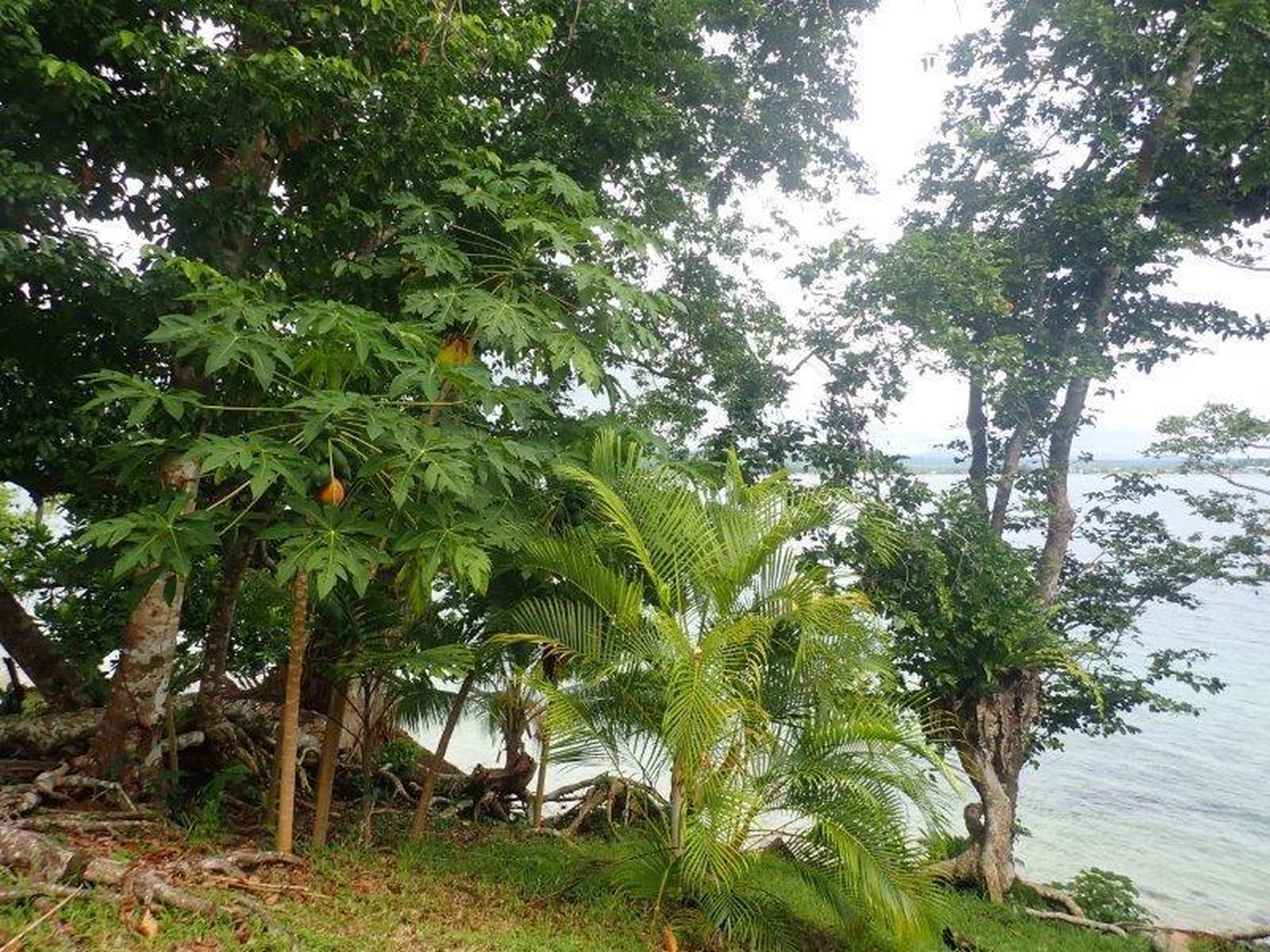 44 Forest Beach Aore Island, Espiritu Santo, Vanuatu - FN Santo