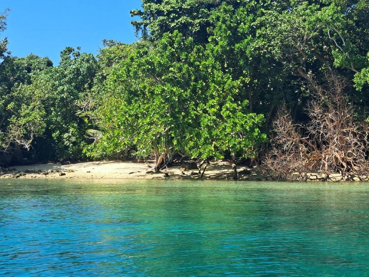 38 Forest Beach, Aore Island, Espiritu Santo, Vanuatu - First National ...